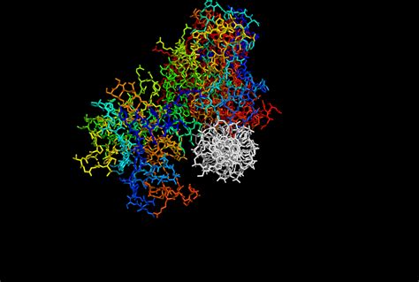 Seth Vander Kooy, Protein Blog: Protein Pictures