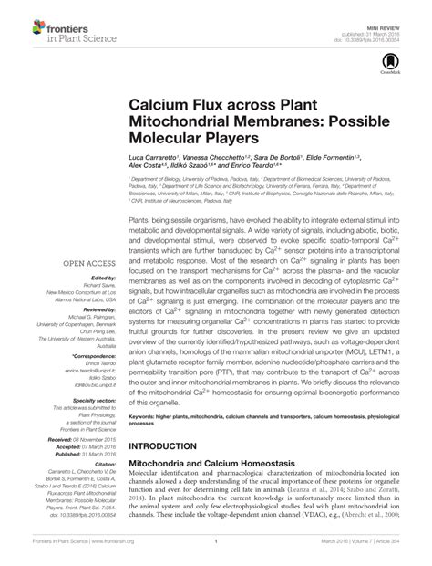 Pdf Calcium Flux Across Plant Mitochondrial Membranes Possible