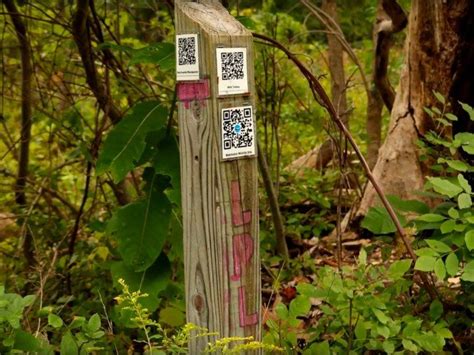 Technology Projects Eagle Scout Project Showcase In 2024 Nature Preserve Tours Eagle Scout