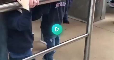 How To Boost Your Immune System Album On Imgur