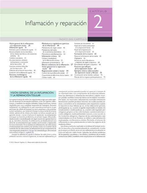Capitulo Inflamación y reparación Anatomía Patológica Studocu