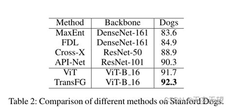Vit细粒度图像分类（十）transfg学习笔记 Csdn博客