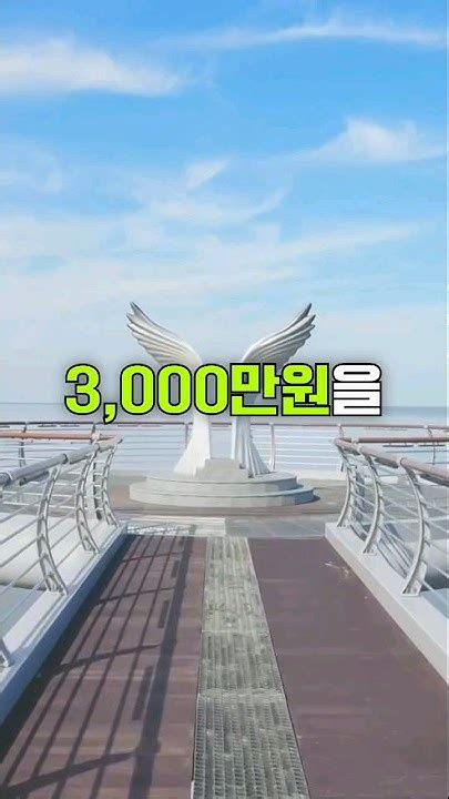출산율이 가장 높은 도시는 출산지원금 전남출산율 출산장려금 Top5 Youtube