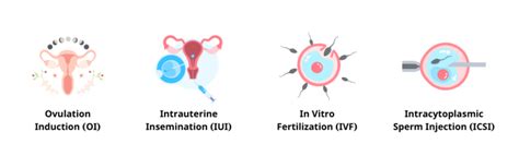 Services For Infertility Treatment In Nepal
