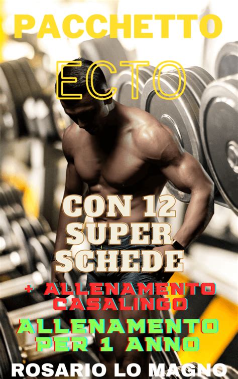 Test Risultato Ecto Trainers Body