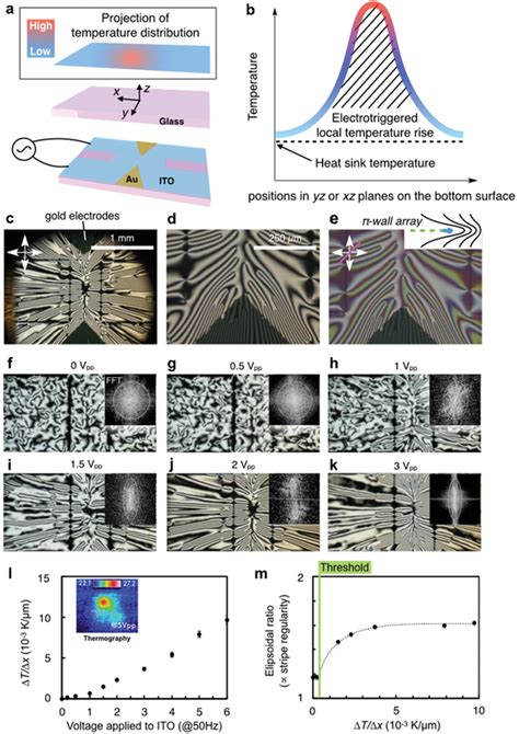 design of topological network by patterned electrodes a a schematic