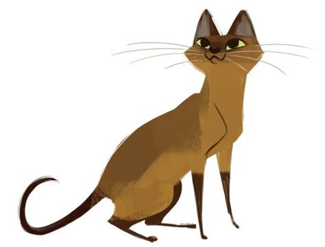 Daily Cat Drawings Иллюстрации кошек Иллюстрация кошки Рисунки животных
