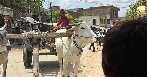 India Album On Imgur