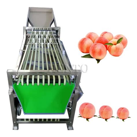 Fruit Kiwi Passion Fruit Size Sorting Machine Cherry Grading Machine