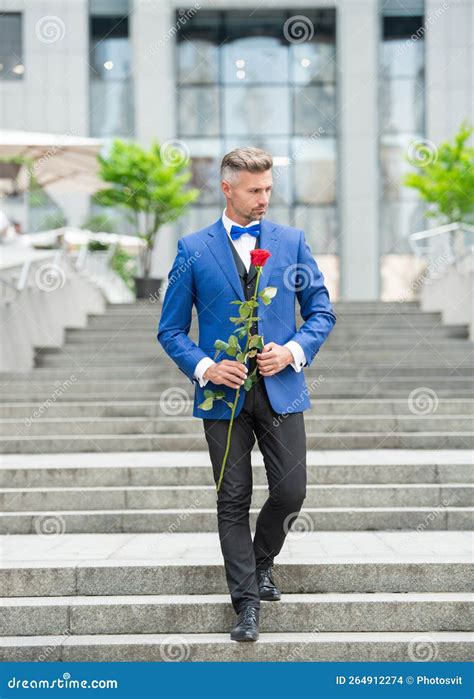 Elegant Man In Tux Man Wearing Tux Bowtie Outdoor Stock Photo Image Of February Love 264912274
