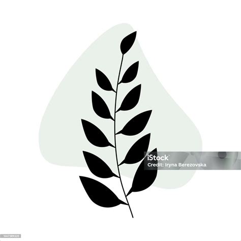 나뭇잎 디자인 요소 집합입니다 프레임 손으로 그린 추상 꽃과 열대 식물의 선 그리기 나뭇잎 소용돌이 화려한 열대 아이콘 꽃