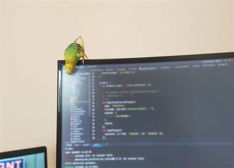 Tsalik Mozgunov On Linkedin Code Review