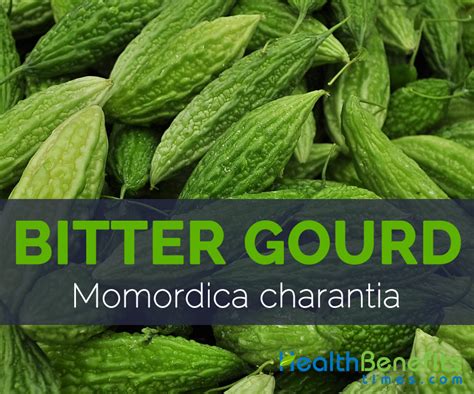 Bitter Gourd Facts Health Benefits And Nutritional Value