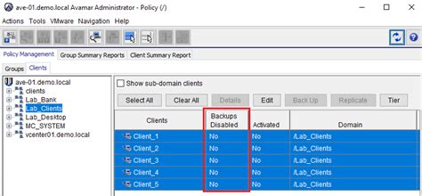 Avamar Backup Fails With Client Backup Disabled Dell Us