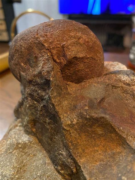 Dino Egg Or Concretion Fossil Id The Fossil Forum