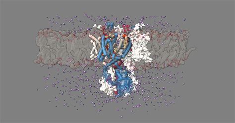 Epileptic Disorders Research Cryo Em Life In Atomic Resolution