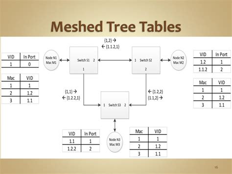 Ppt Meshed Tree Algorithm For Loop Forwarding In S Witched Networks