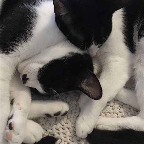 How Do Resist The Urge To Disturb Scrolller