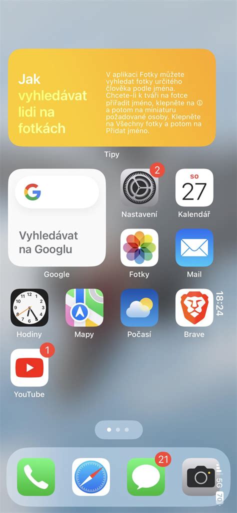Has Anyone Ever Encountered This Bug R Iphone