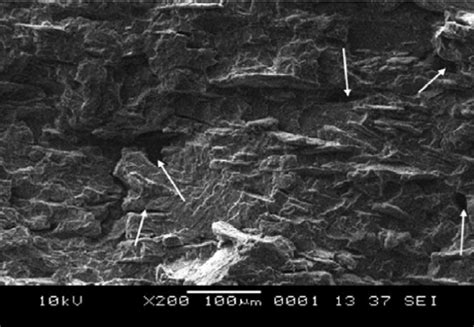 SEM Micrograph Of Tensile Fractured Surface Of Untreated PP Chitosan