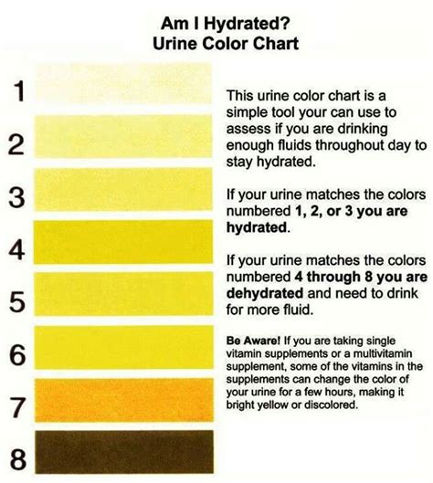 Pee Color Stay Hydrated Urinal How To Stay Healthy Color Chart