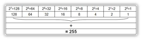 Ngeblog Plus Cara Menghitung Bilangan Biner