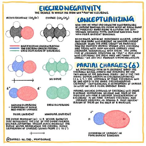 Organic Chemistry Infographic About Partial Charges And More Doodles In