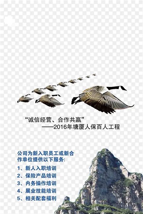 强强合作png图片素材下载 图片编号qdoxxrmg 免抠素材网
