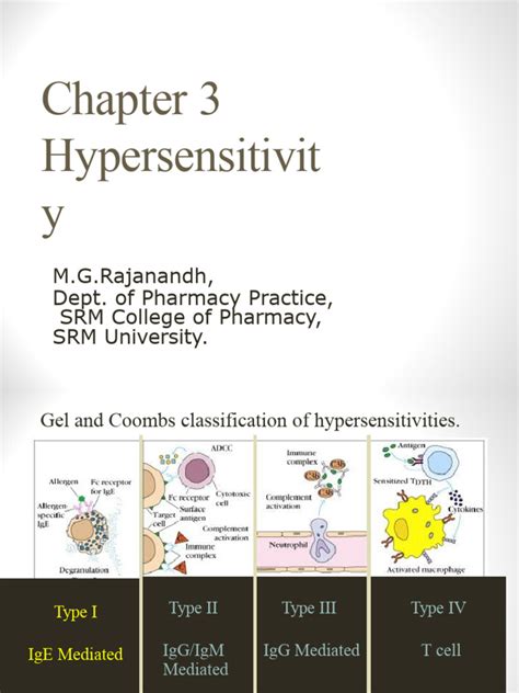 Hypersensitivity Download Free Pdf Allergy Immune System