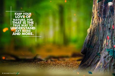 Green Forest Manipulation Background Manipulation Background