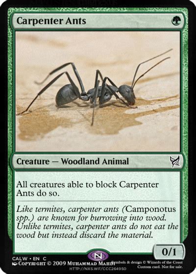 Mtgnexus Carpenter Ants