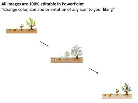 Top 10 Seed To Tree Powerpoint Presentation Templates In 2025