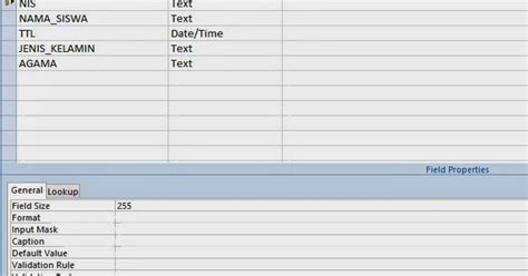 Memahami Tipe Tipe Data Pada Program Aplikasi Microsoft Access Fungsi