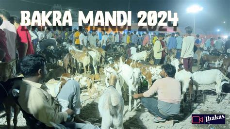 Bakra Mandi 2024 Lucknow Bakra Mandi Dubagga Bakra Mandi Bakrid