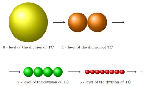 The Levels Of The Division Of TC Download Scientific Diagram