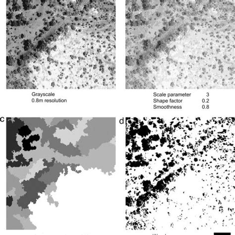 A Aerial Photograph Of Heterogeneous Landscape B Fine Scale