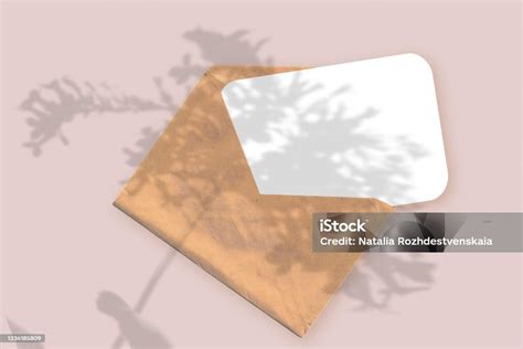 자연광은 분홍색 질감의 배경에 흰색 종이 한 장이 놓여있는 봉투에 식물의 그림자를 투사합니다 모형 0명에 대한 스톡 벡터 아트 및 기타 이미지 Istock