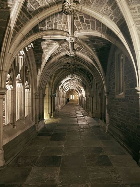 Princeton 🐅 Dream College University Inspiration University