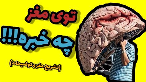 تشریح مغز انسان با فناوری روز آمریکا چگونه مغز کار می کند ؟ Youtube