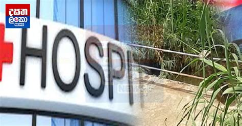 අධික වර්ෂාව හේතුවෙන් පාලමක් කඩා වැටී දෙදෙනෙකු රෝහල් ගත කරයි වීඩියෝ
