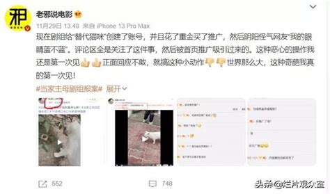 《當家主母》劇組的那隻白貓，大抵是真的死了 每日頭條
