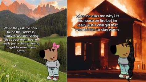 What Is The Im Just A Chill Girl Meme The Womens Take On The Chill Guy Me Know Your Meme