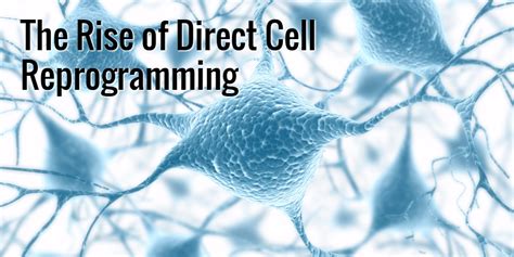 The Rise Of Direct Cell Reprogramming Bioinformant
