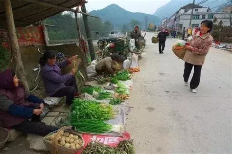 老人常說狼怕一托狗怕一摸什麼意思 每日頭條