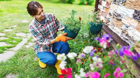 Flowers Housedigest