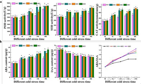 Bmc Plant Biology甘肃农业大学研究团队用y2h技术揭示过表达vapyl9通过调节激素信号和抗氧化酶中的关键基因提高番茄的耐寒