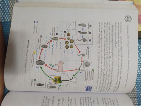 Microbiology And Parasitology Hobbies And Toys Books And Magazines