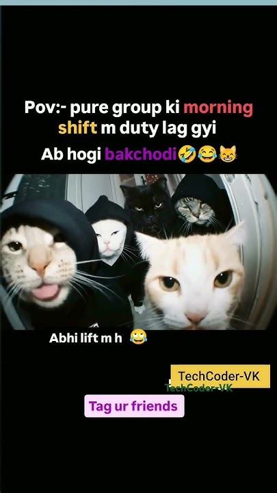 😆😁 programming webdevelopment project c javascript shortvideo