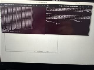 Msp Fr Cannot Show Output In Terminal When Using Mspdebug To Run