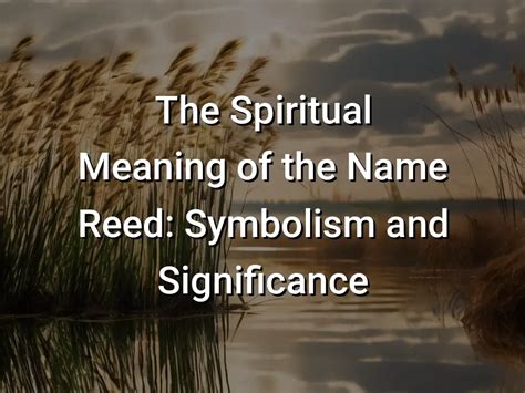 The Spiritual Meaning Of The Name Reed Symbolism And Significance